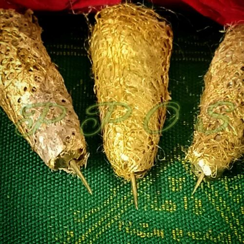 Pure Natural Wesi Kuning / Besi Kuning Martial Art, Invincibility and ...